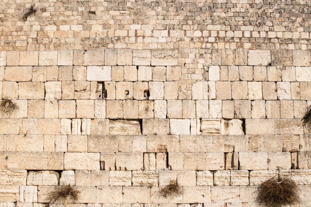 Purim Jokes, Riddles, and Memes - Jewish Resources